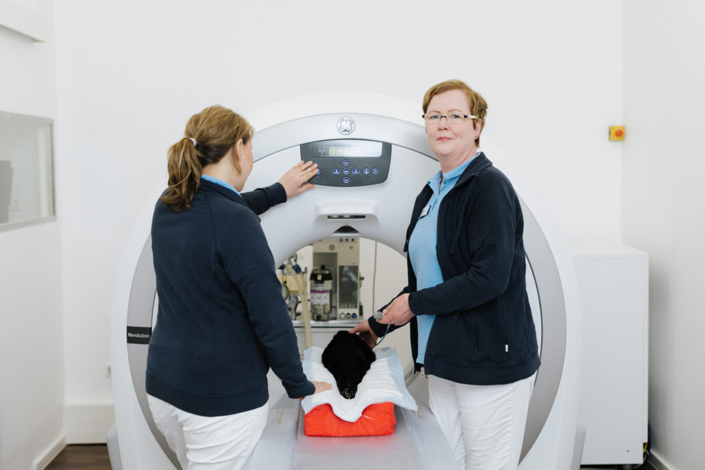 Das Praxis-Team der Fachpraxis für Kleintiere AniSana in Kiel