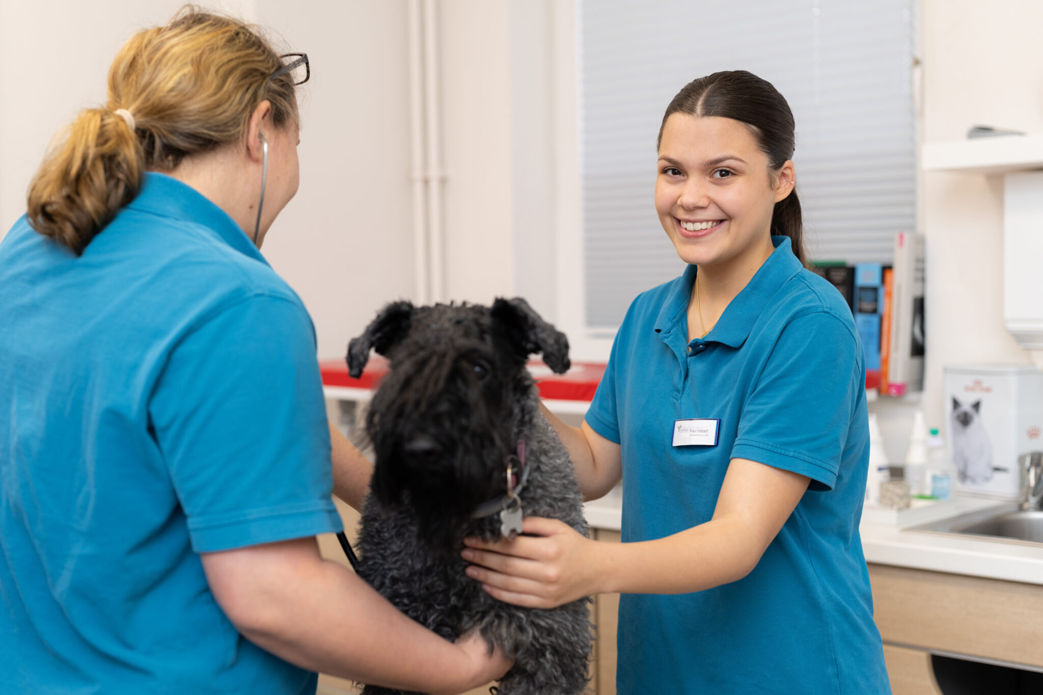 Das Praxis-Team der Fachpraxis für Kleintiere AniSana in Kiel